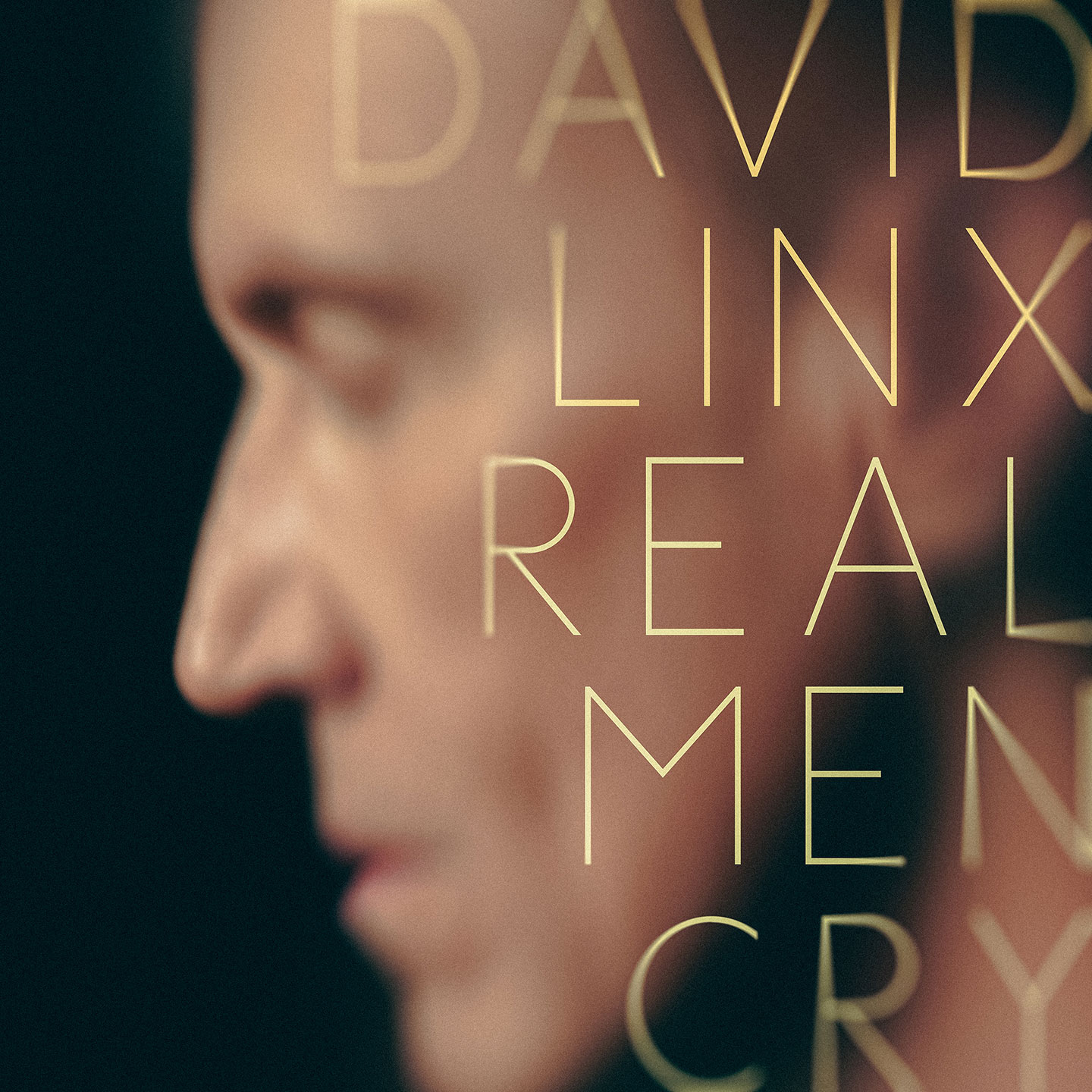 Real Men Cry (Vinyle) - David Linx - Cristal Records